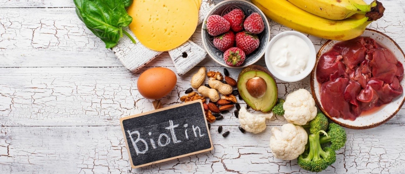 Vitamine B8 (Biotine) - Gezonde voeding en kruiden